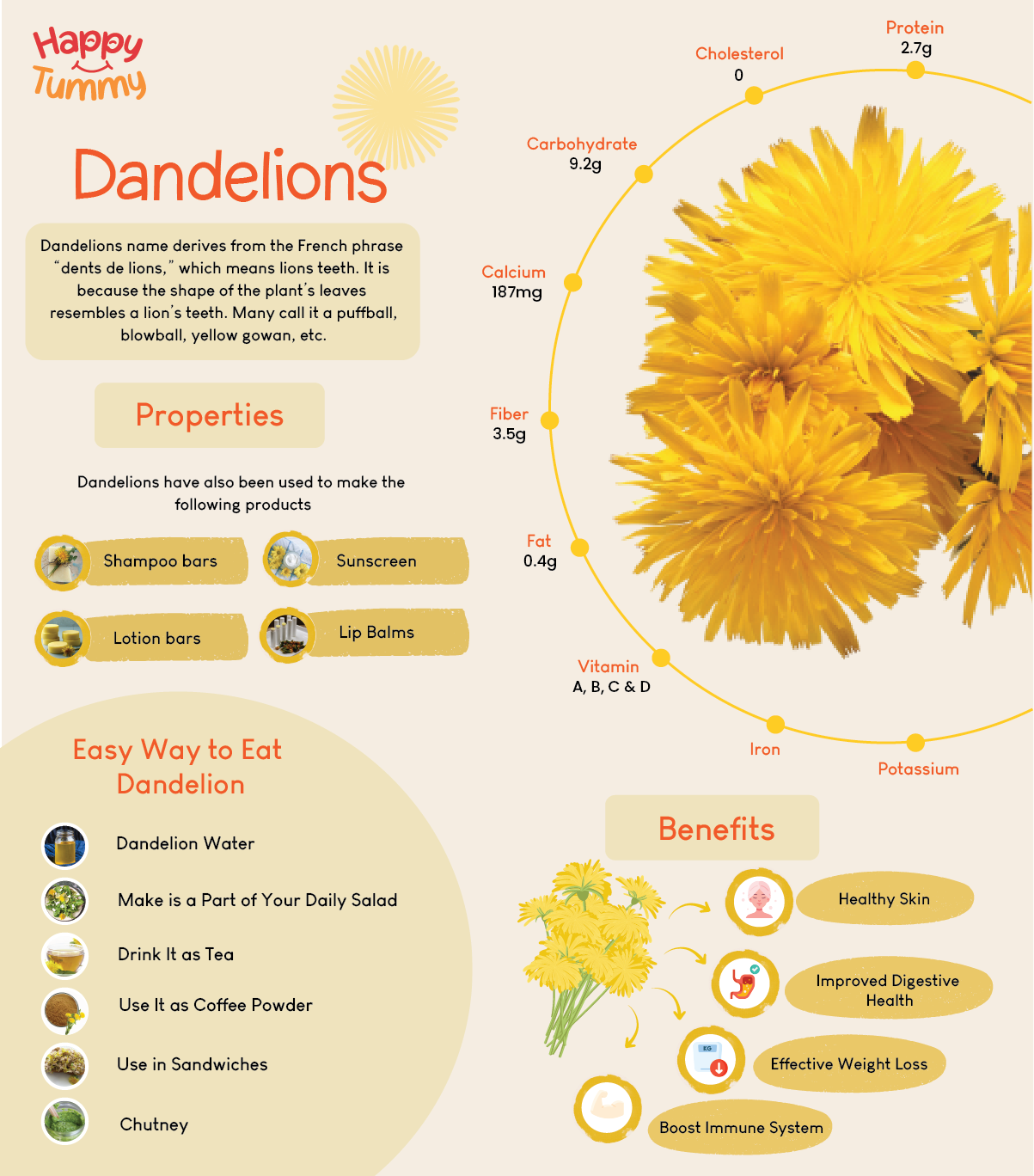 Dandelions (Singhparni): Uses, Benefits & Side effects - Happytummy