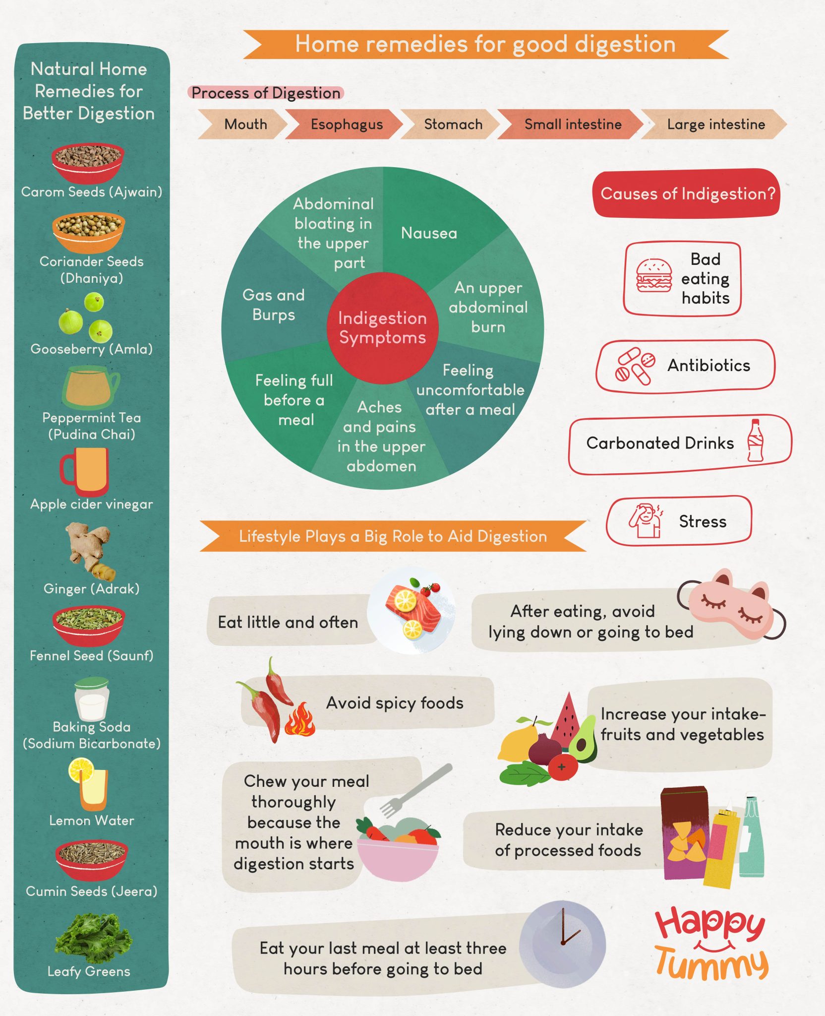 Top 10 Home Remedies for Good Digestion - Happytummy