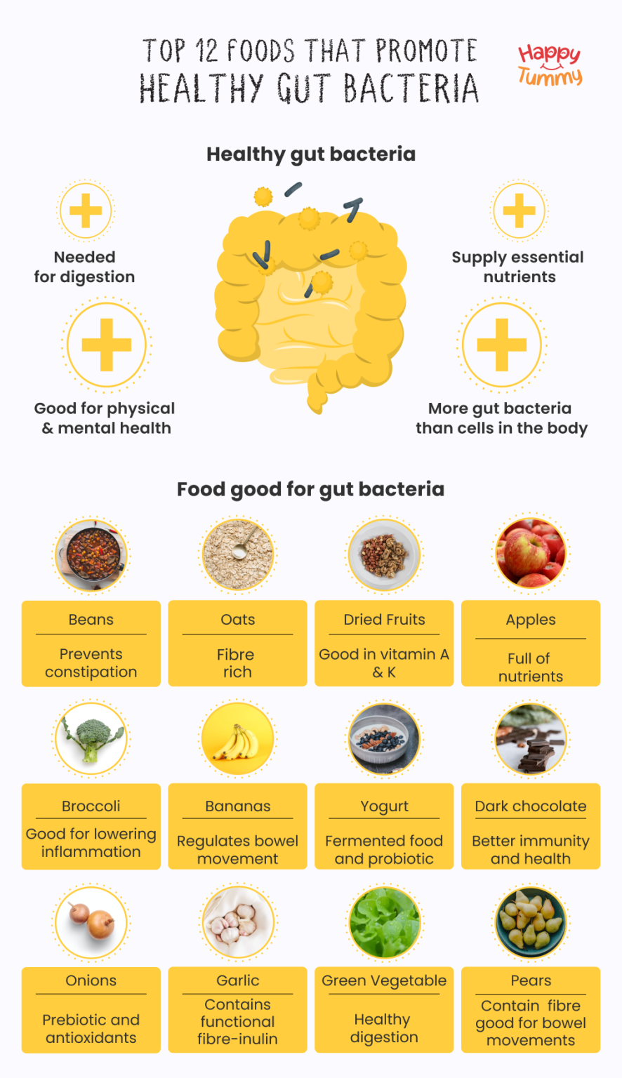 Top 12 Foods That Promote Healthy Gut Bacteria - Happytummy