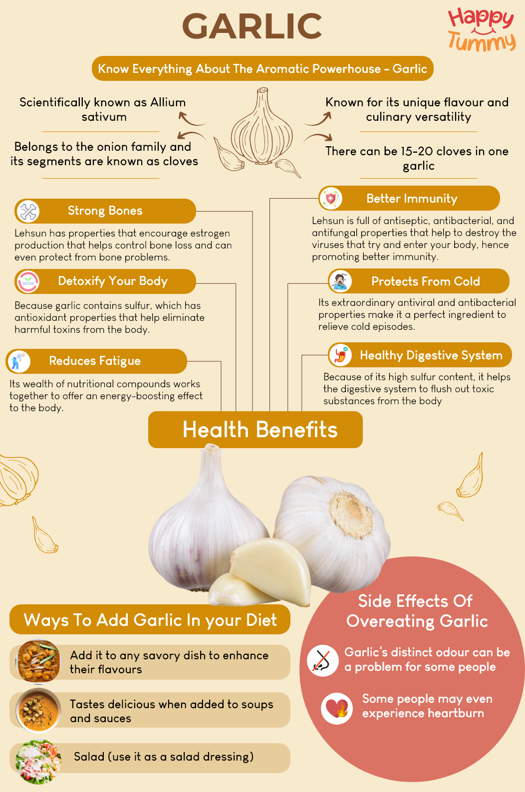 Garlic Benefits: The Ultimate Super Food For A Healthier You - Happytummy