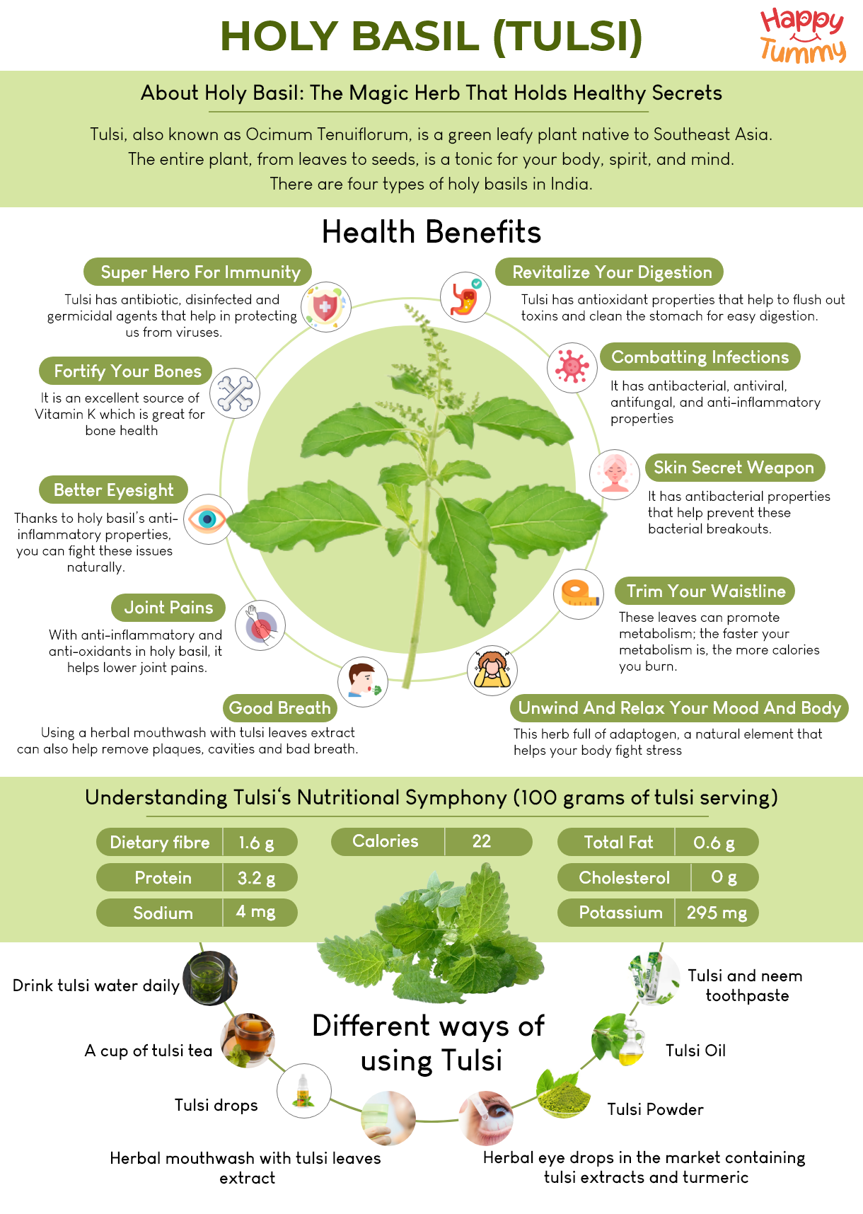 Unlock the Power of Holy Basil (Tulsi): Discover its Surprising ...