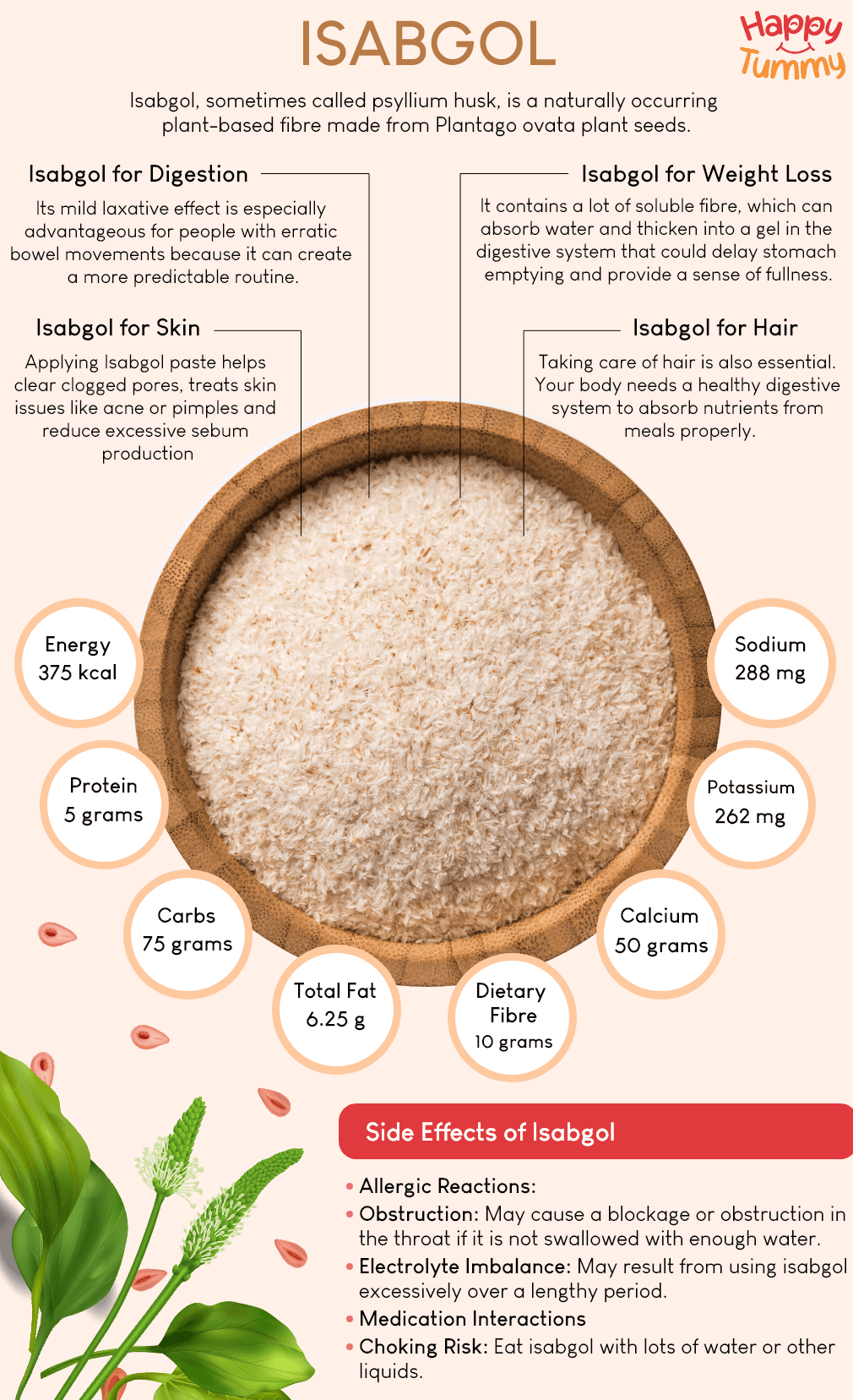 Power of Isabgol: Benefits, Side Effects and how to use - Happytummy