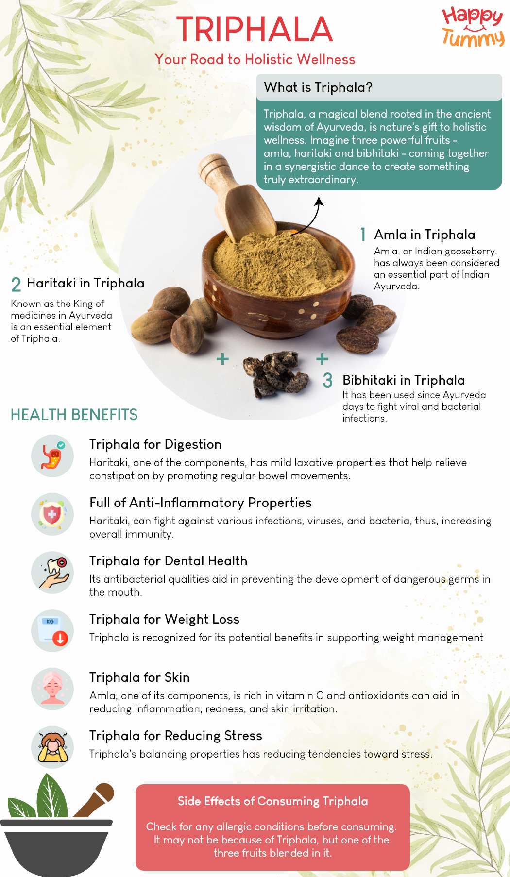 Your Road to Holistic Wellness: Triphala - Happytummy
