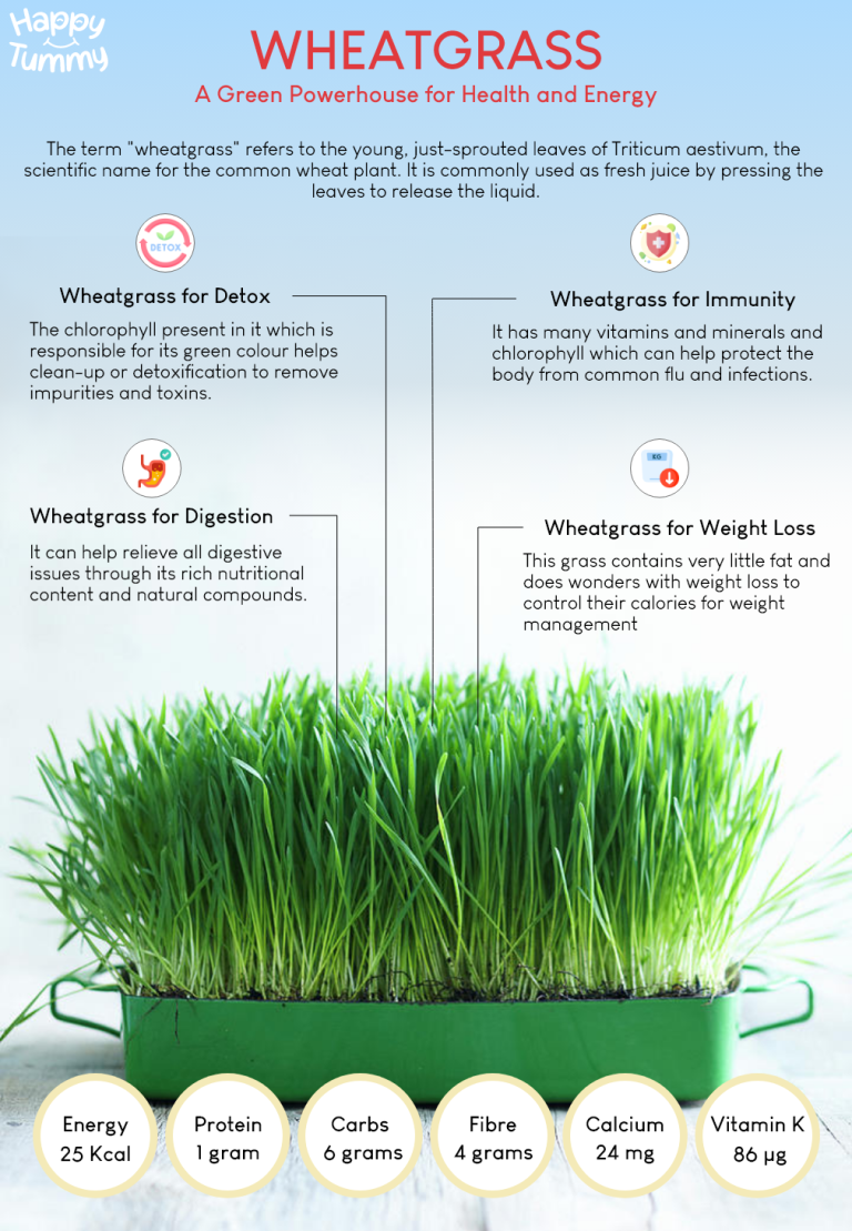 Wheatgrass: A Green Powerhouse for Health and Energy - Happytummy