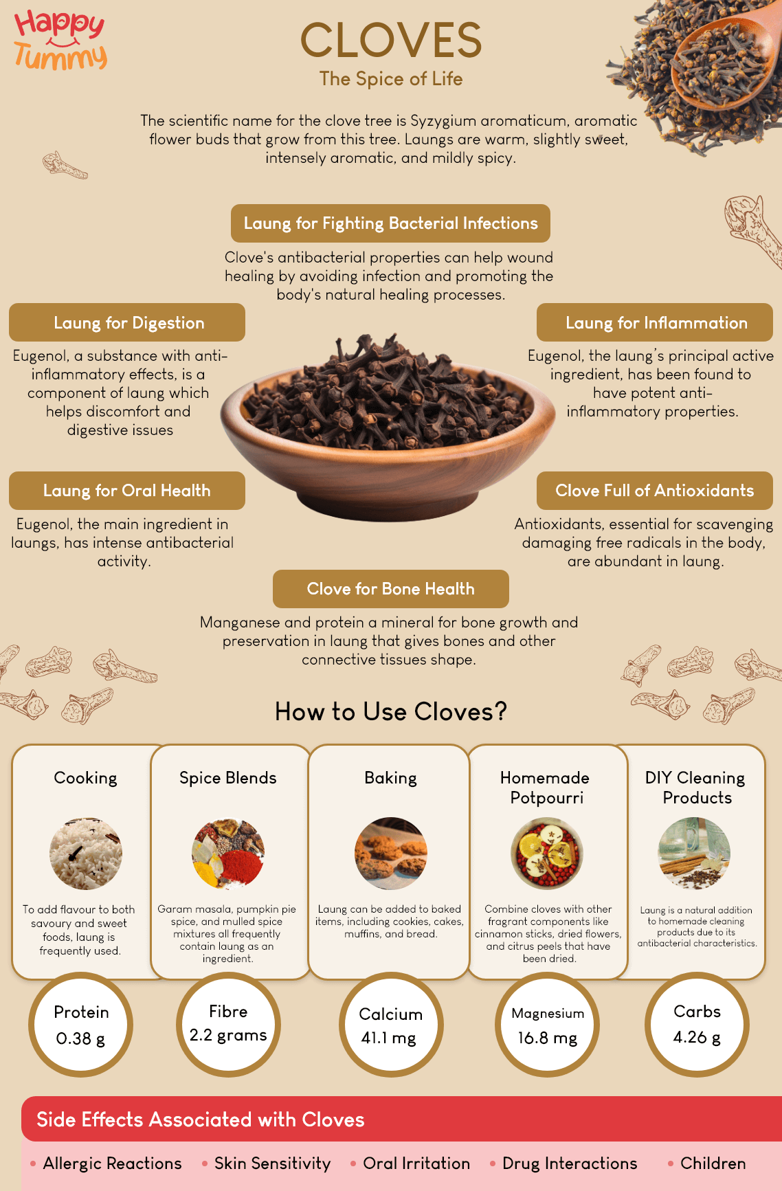 Discovering the Health Benefits and uses of Cloves (Laung) - Happytummy