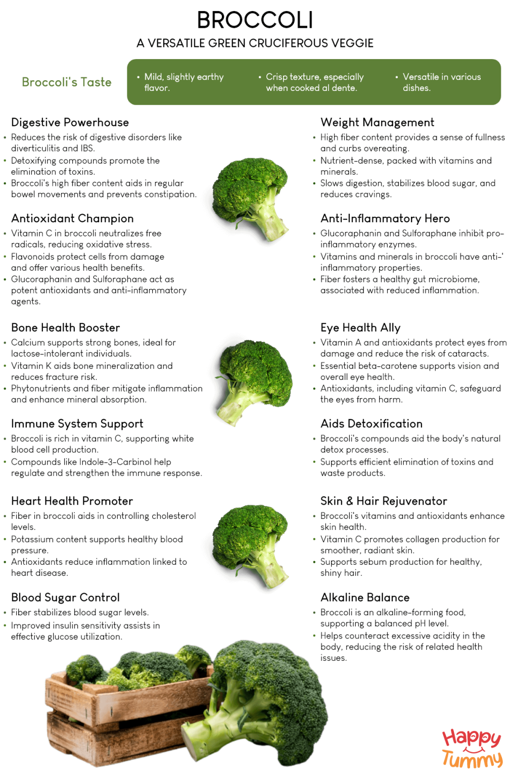 Broccoli Benefits: The Ultimate Guide to a Superfood's Power - Happytummy