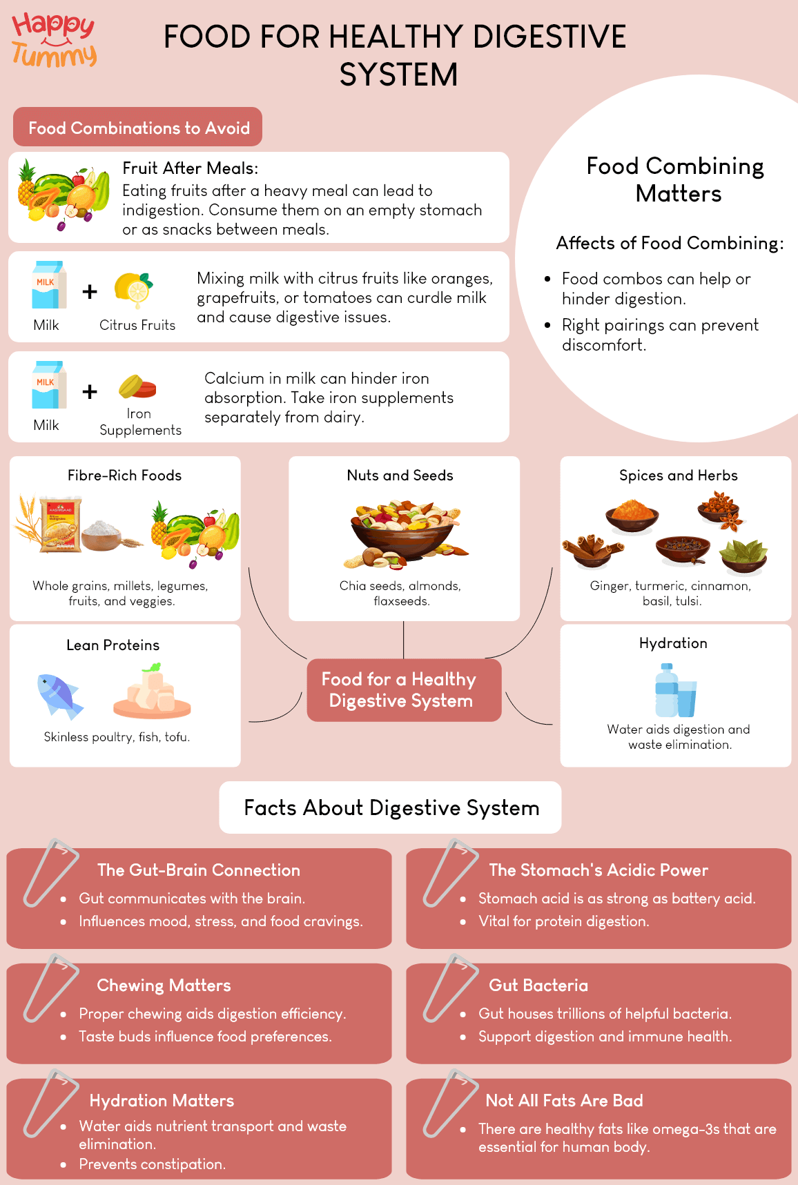 What is Digestion: Digestive System, Digestion Problems and Solution ...