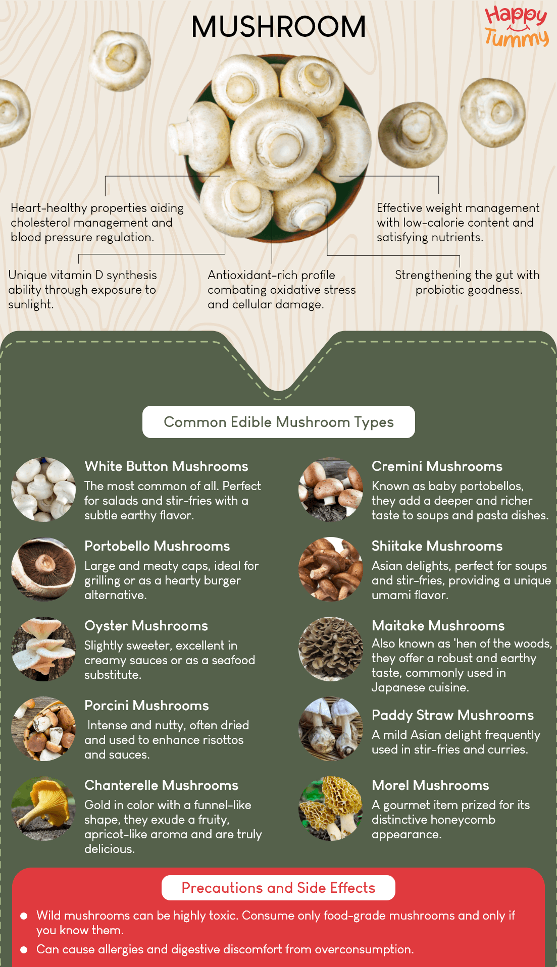 Mushroom Benefits for Your Health: A Complete Breakdown - Happytummy