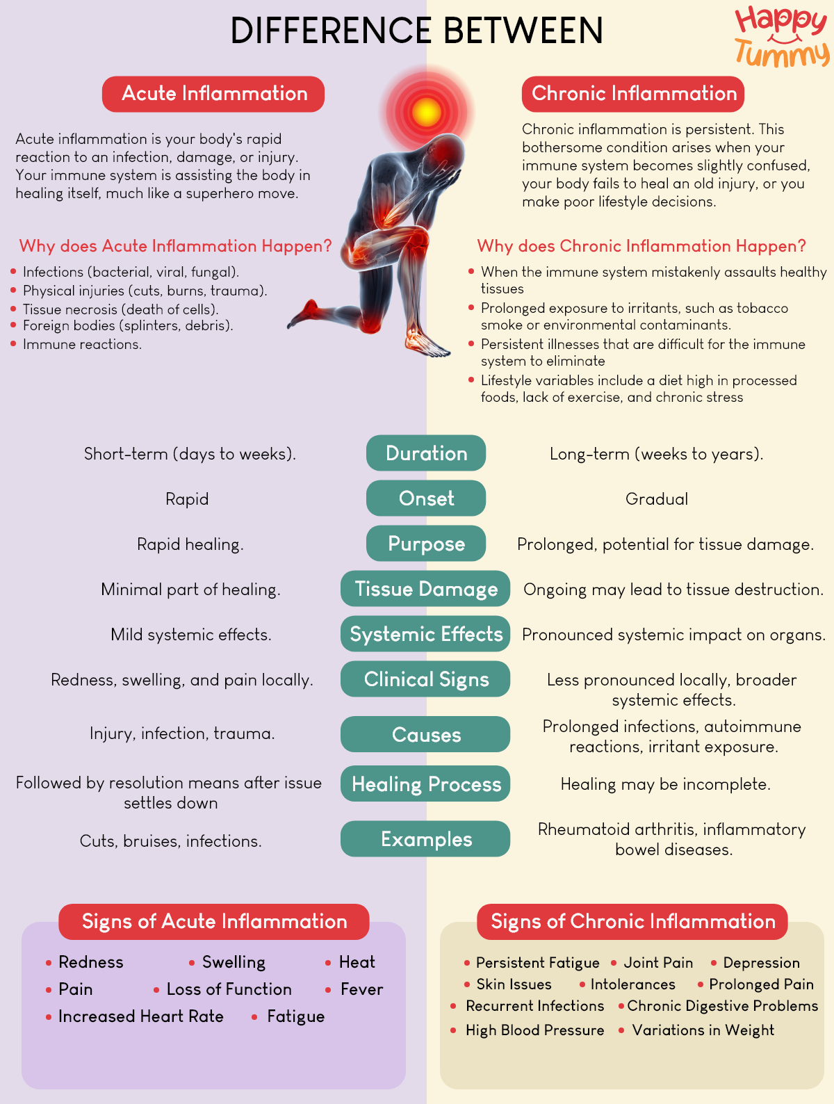 Difference Between Chronic and Acute Inflammation - Happytummy Difference Between Chronic and Acute Inflammation - Happytummy