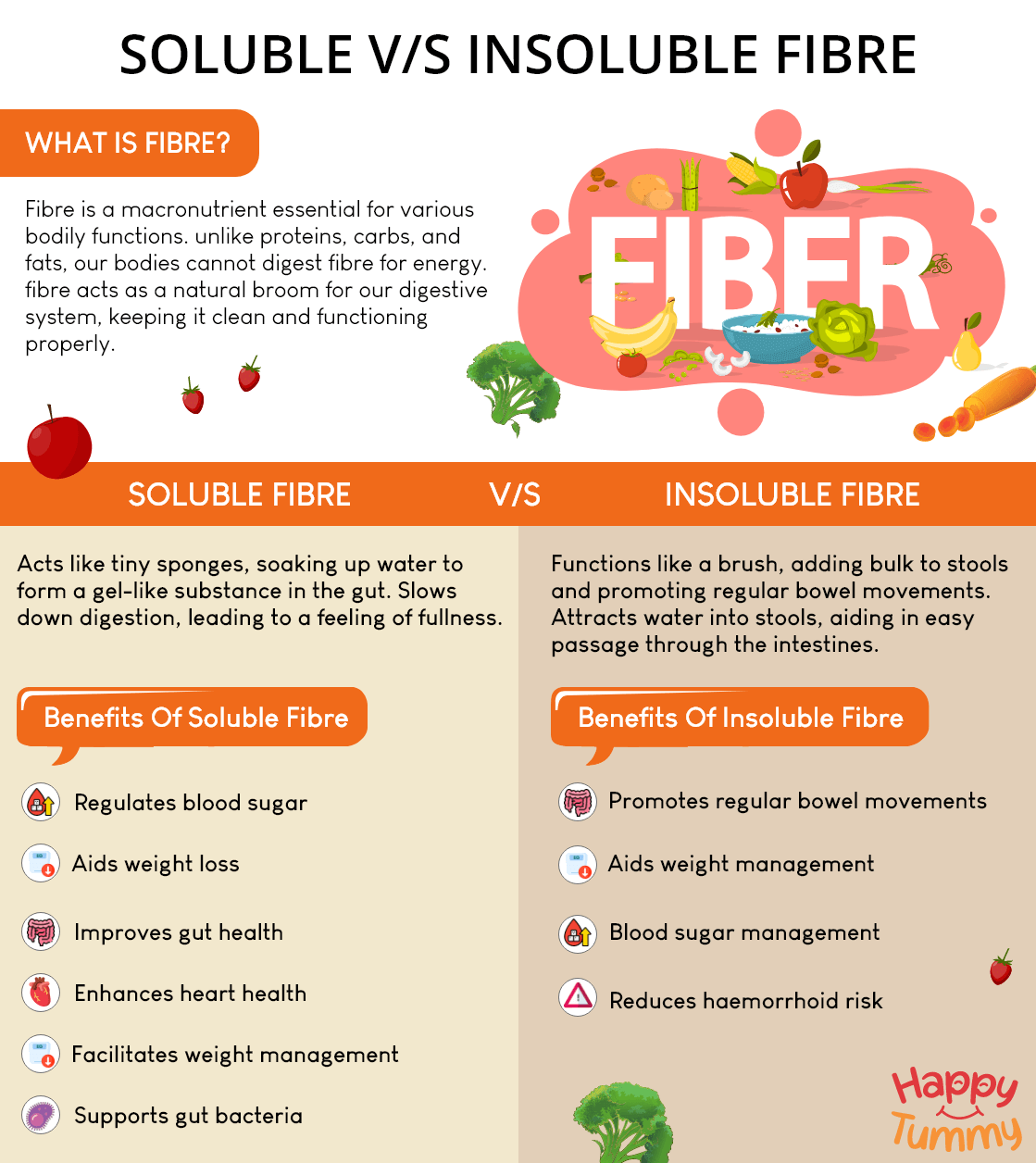 Soluble V/s Insoluble Fibre - The Difference - Happytummy