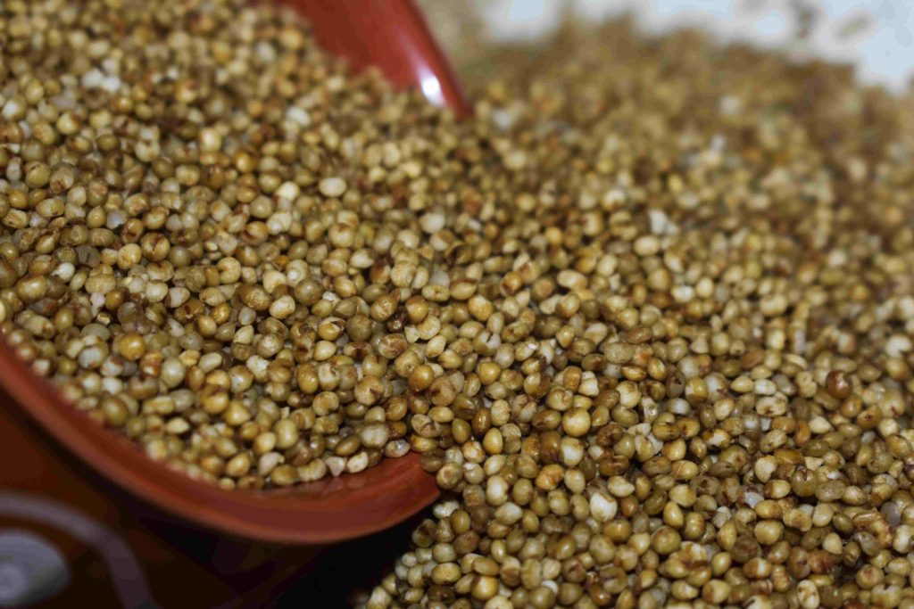 What are the Different Types of Millets you Must Know - Happytummy