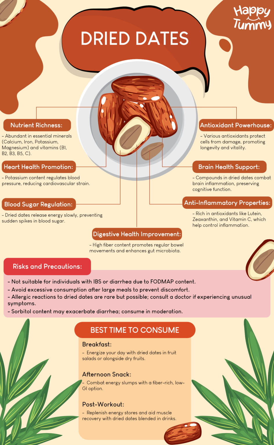 Dried Dates Benefits, Nutrition and precautions - Happytummy