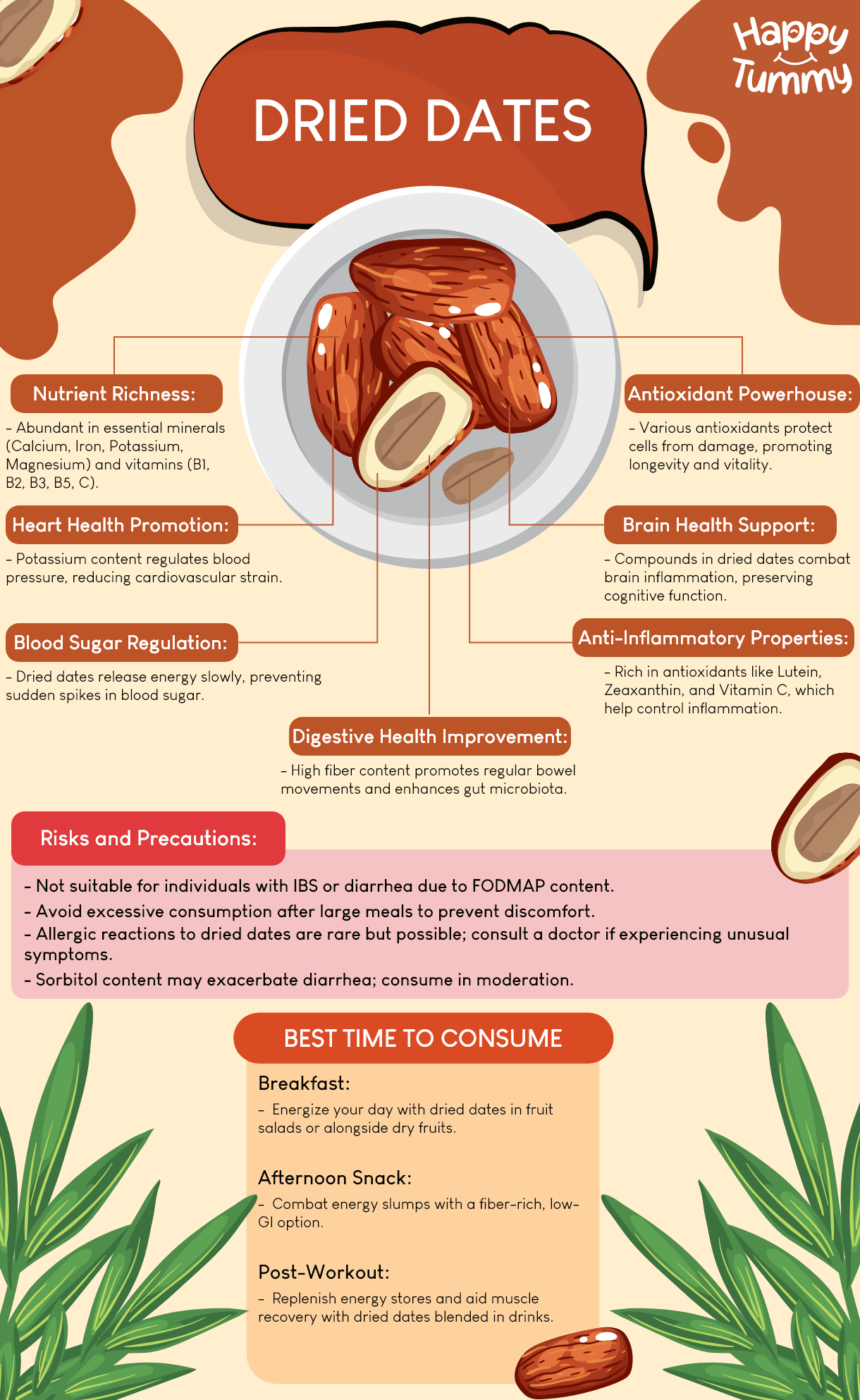 Dried Dates Benefits, Nutrition and precautions - Happytummy