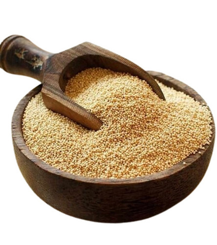 What are the Different Types of Millets you Must Know - Happytummy