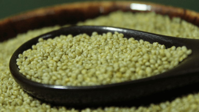 What are the Different Types of Millets you Must Know - Happytummy