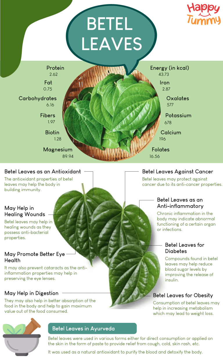 Health Benefits of Betel Leaves (Pan Patta) - Happytummy