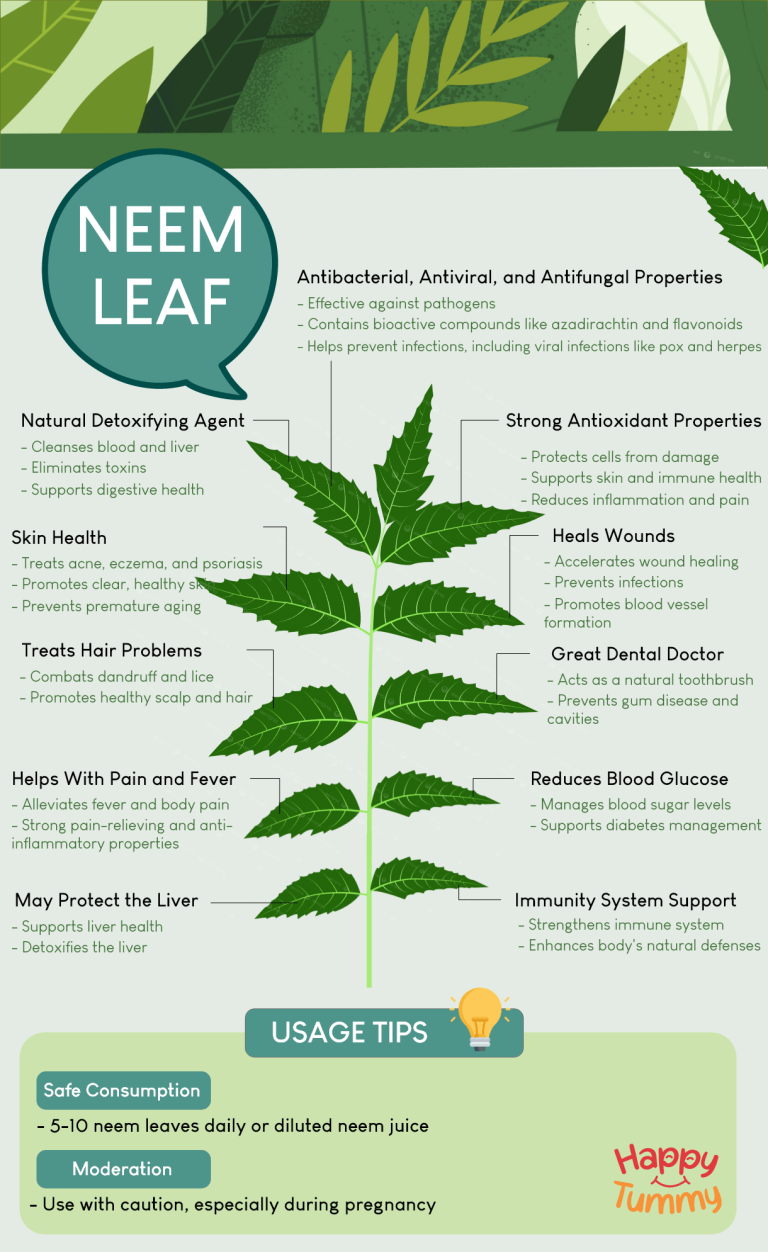 11 Benefits and uses of Neem Leaves - Happytummy