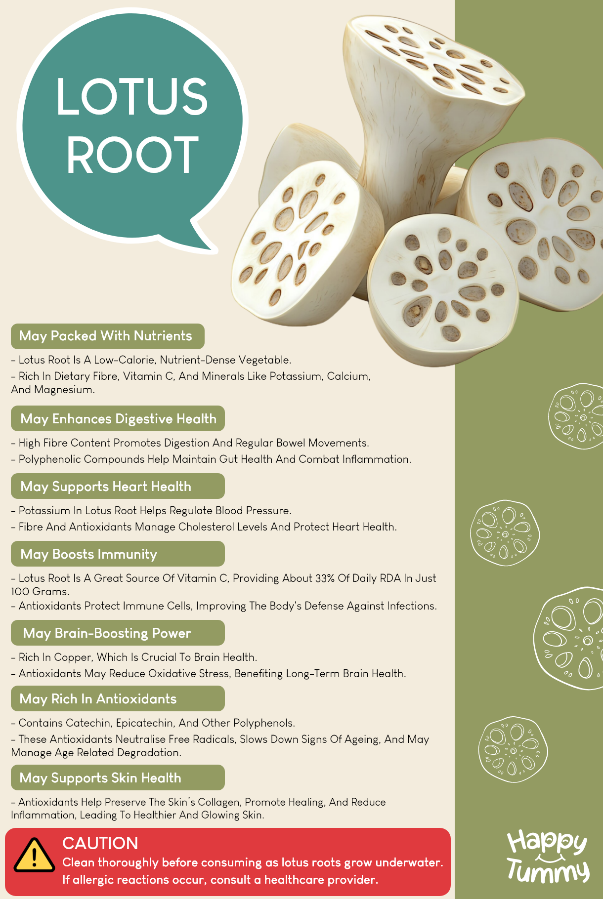 Lotus Root Benefits, Uses and Side effects - Happytummy