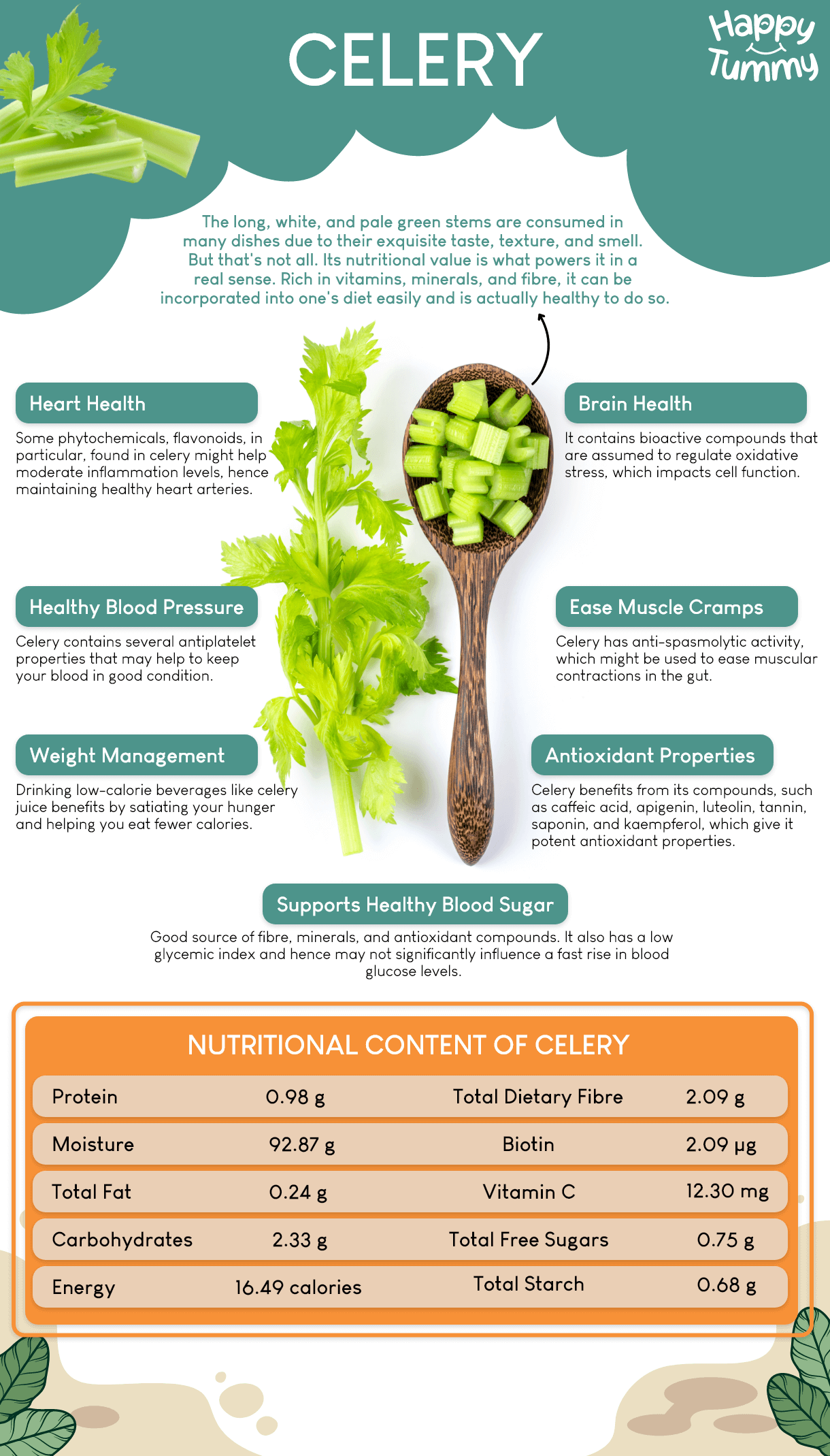 Health Benefits of Celery - Happytummy