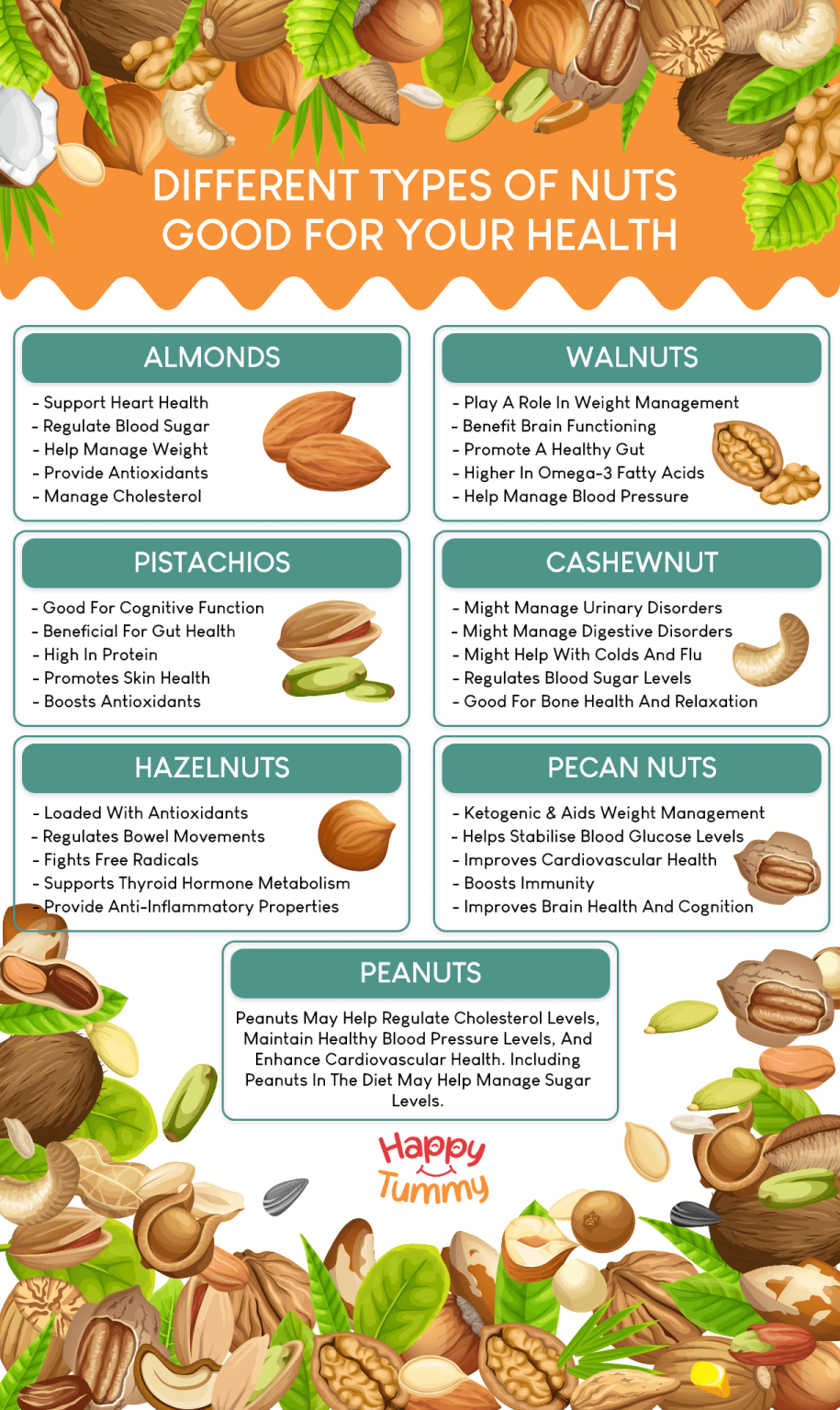Different Types of Nuts for Good Health - Happytummy