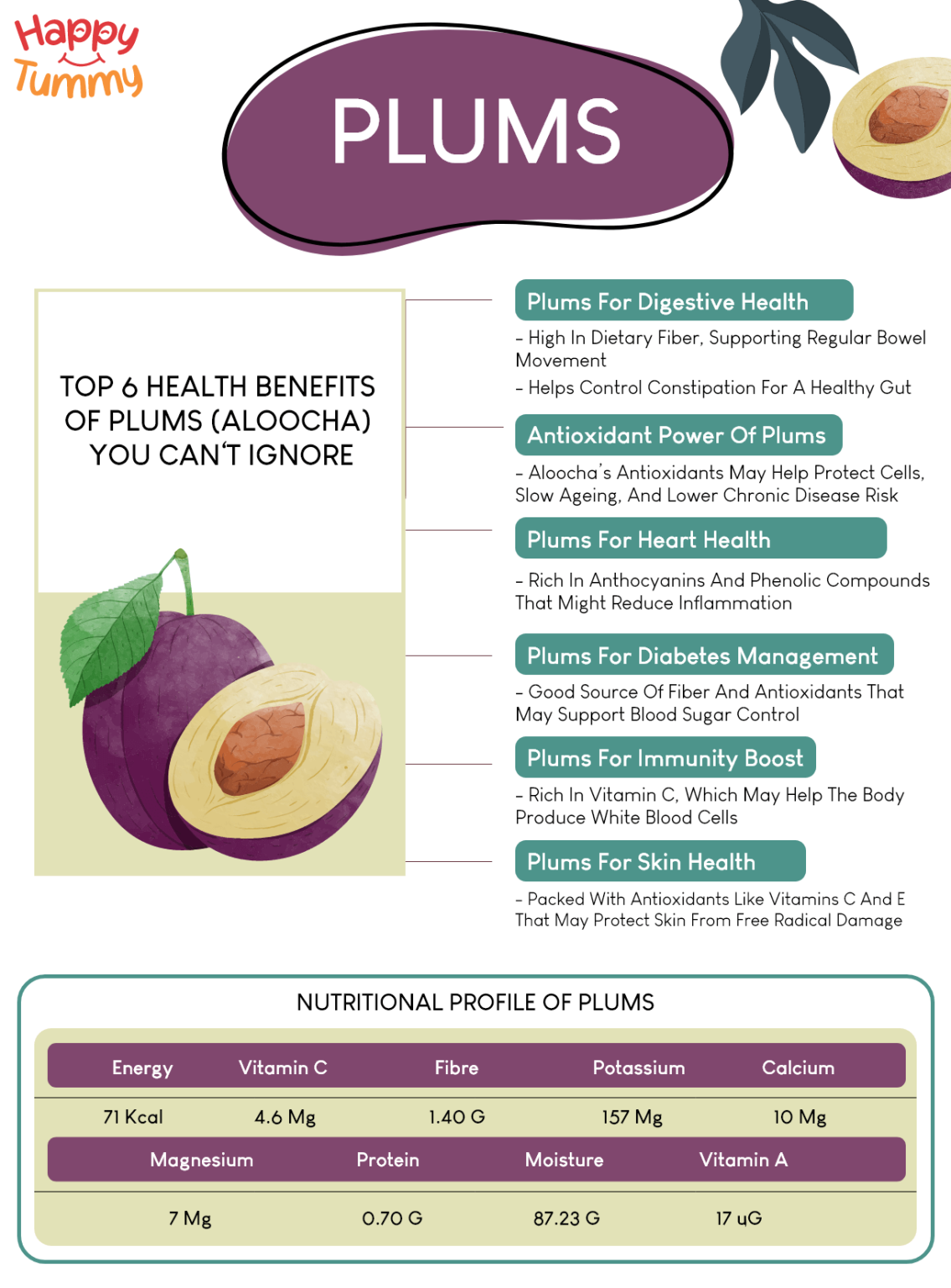 Top 6 Health Benefits of Plums (Aloocha) You Can’t Ignore - Happytummy