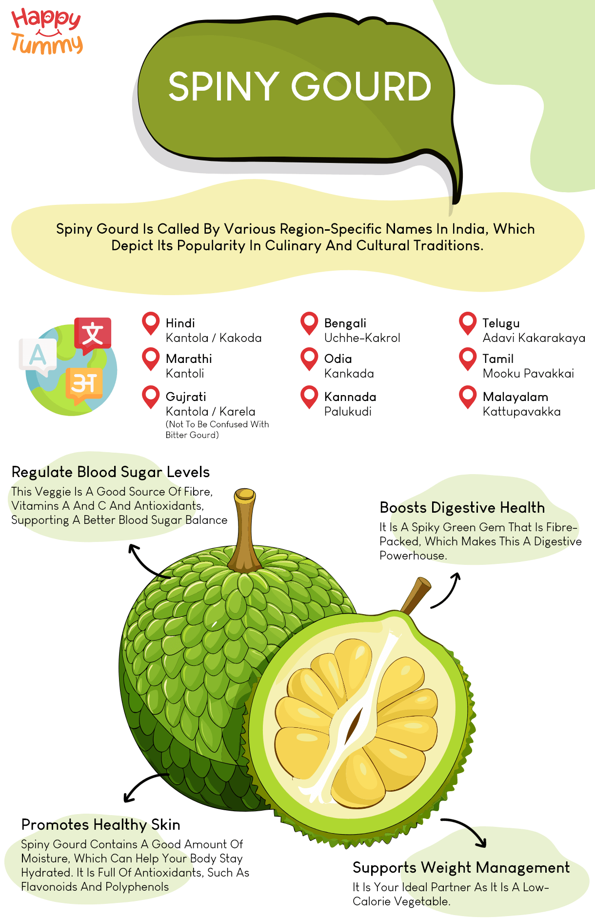 10 Incredible Health Benefits of Spiny Gourd You Didn’t Know - Happytummy