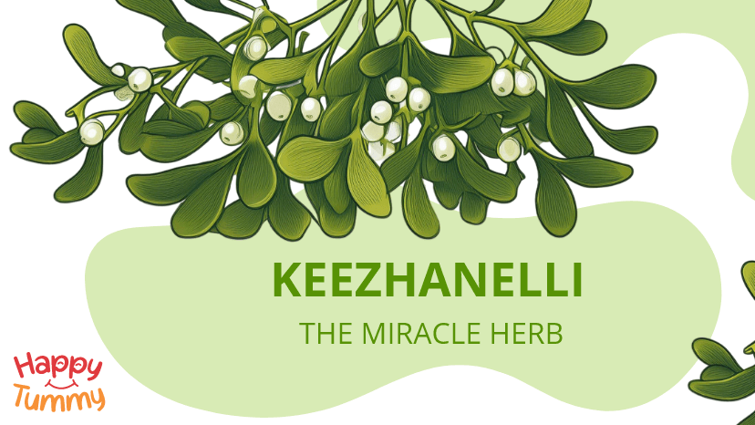 Keezhanelli: The Miracle Herb and Its Powerful Health Benefits - Happytummy