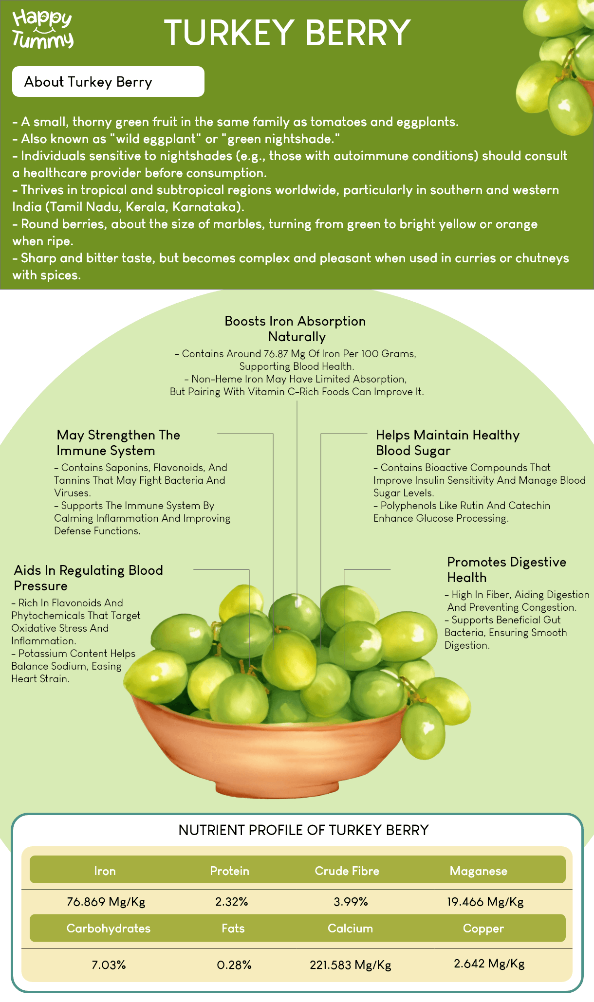 Health Benefits of Turkey Berry: Nature's Ultimate Superfood - Happytummy