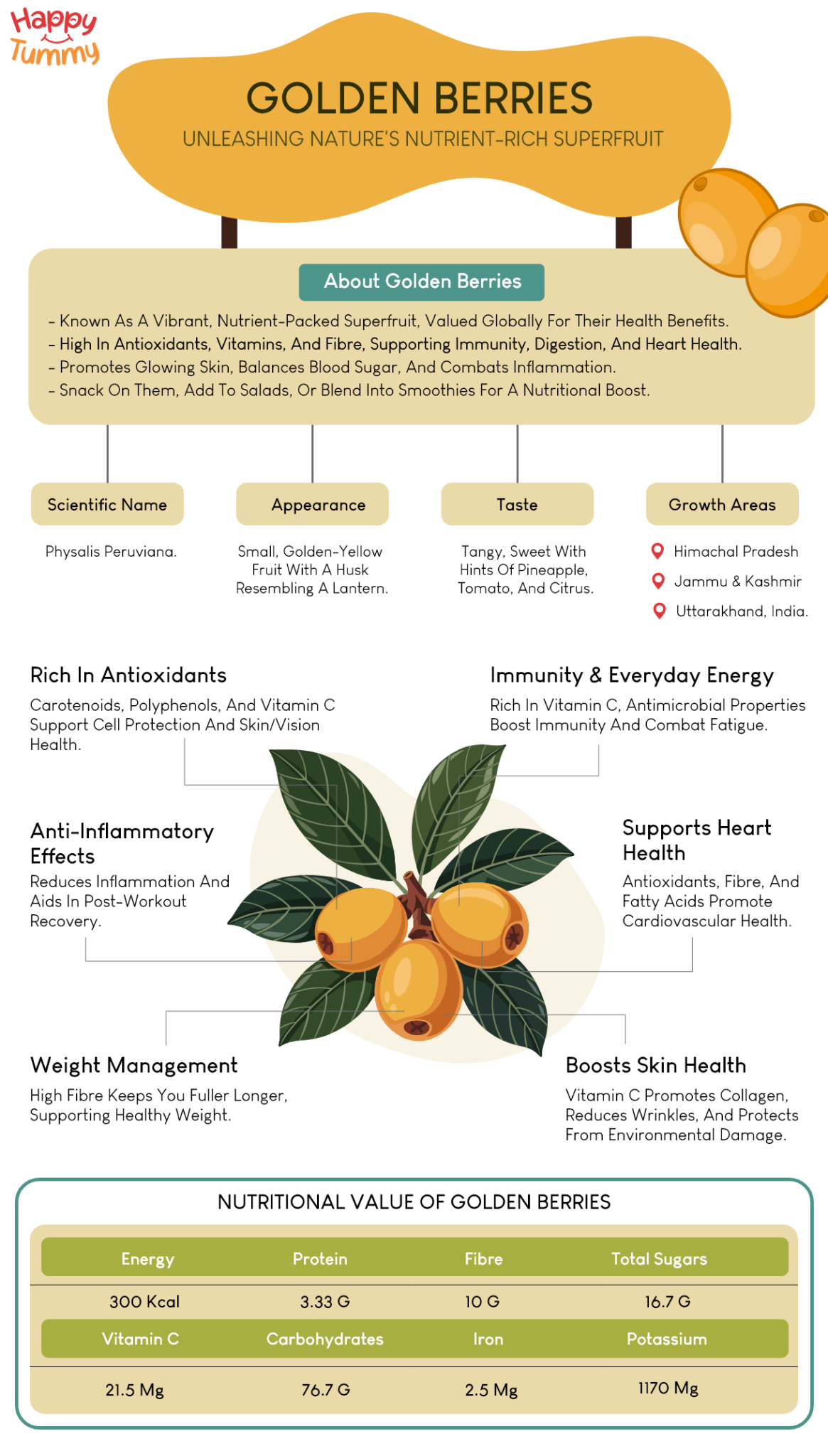 Golden Berry Benefits: Unleashing Nature's Nutrient-Rich Superfruit ...